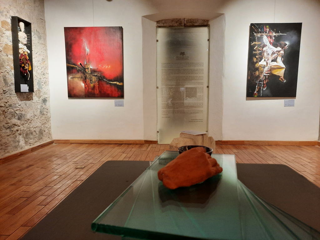 Museo de Arte Contemporáneo Ágora José González Fresnillo : Museos ...