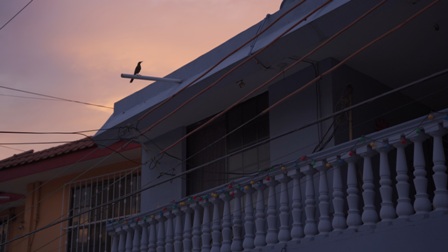 Pesadumbre/Sorrowful Memory : Producciones México : Sistema de ...